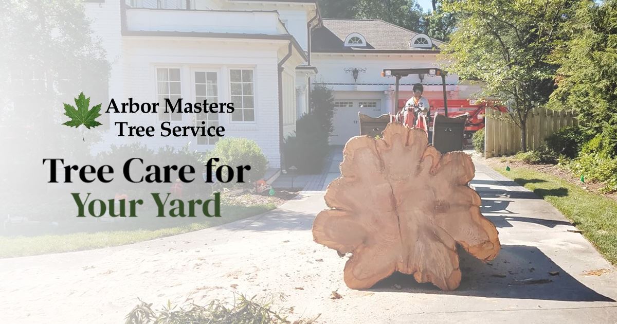 Summerfield Arborists | Arbor Masters Tree Services, Inc.